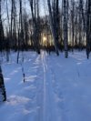 Иконка канала Джек Рассел по имени Джек и кот Мася??