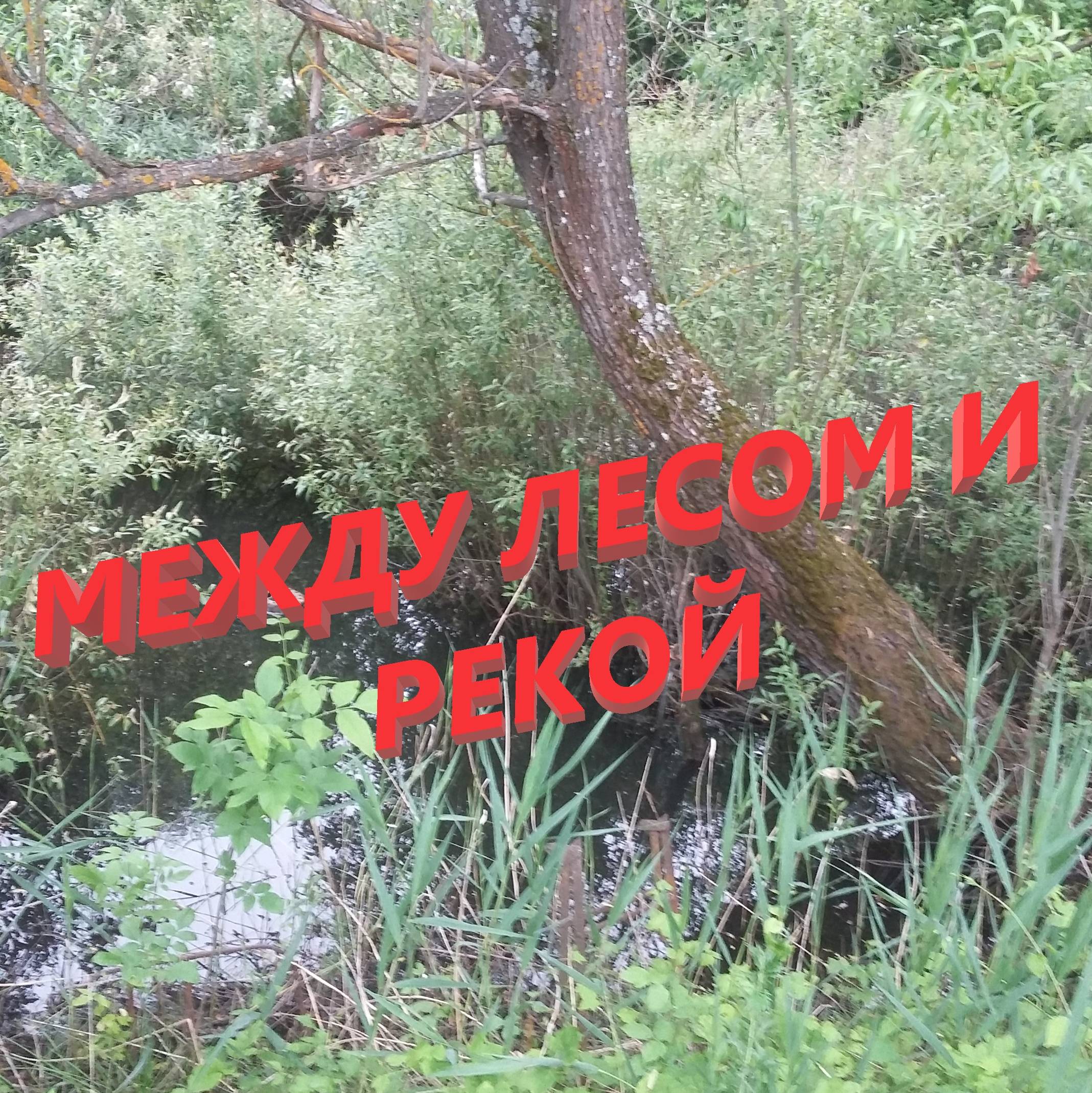 Иконка канала Между Лесом и Рекой(МЛИР)