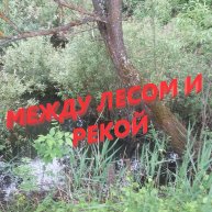 Иконка канала Между Лесом и Рекой(МЛИР)