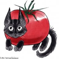 Иконка канала kothbegemoth