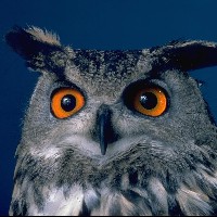 Иконка канала Setevoi Blog