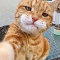 Иконка канала Академия вкусной еды