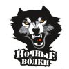 Иконка канала ХК "Ночные волки" г. Новый Уренгой