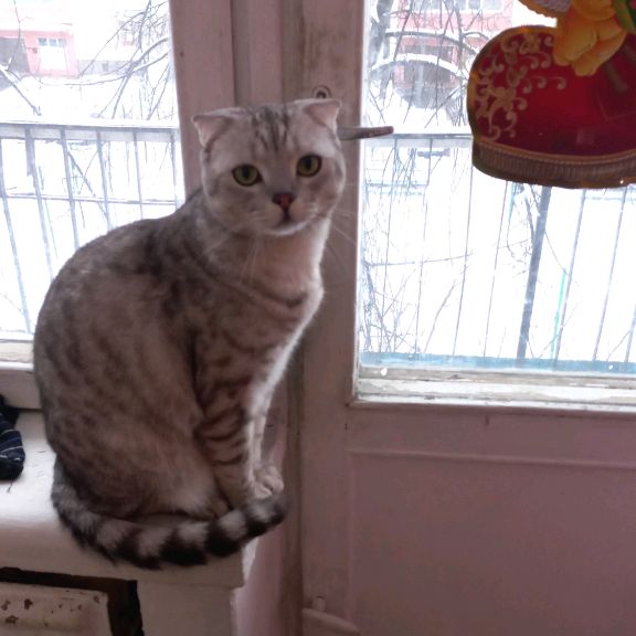 Иконка канала Рисуйте  со мной