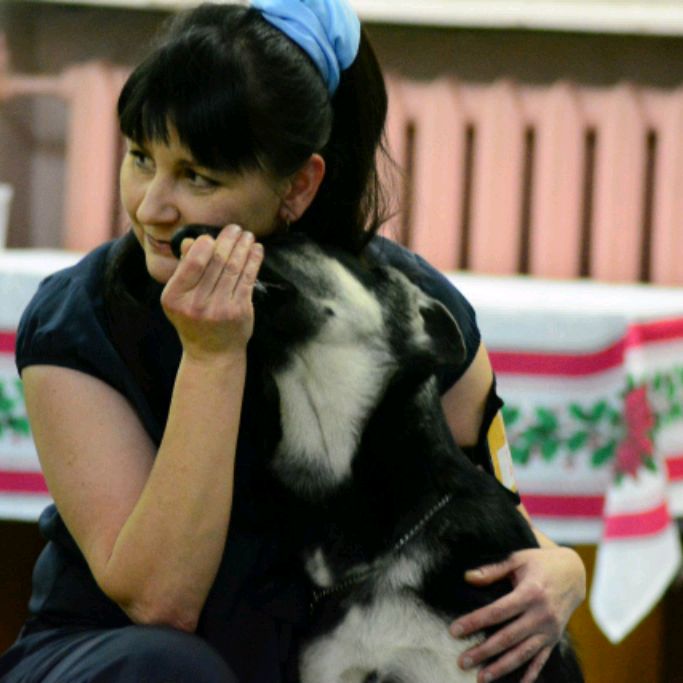 Иконка канала Восточно-европейская овчарка. От щенка и до...