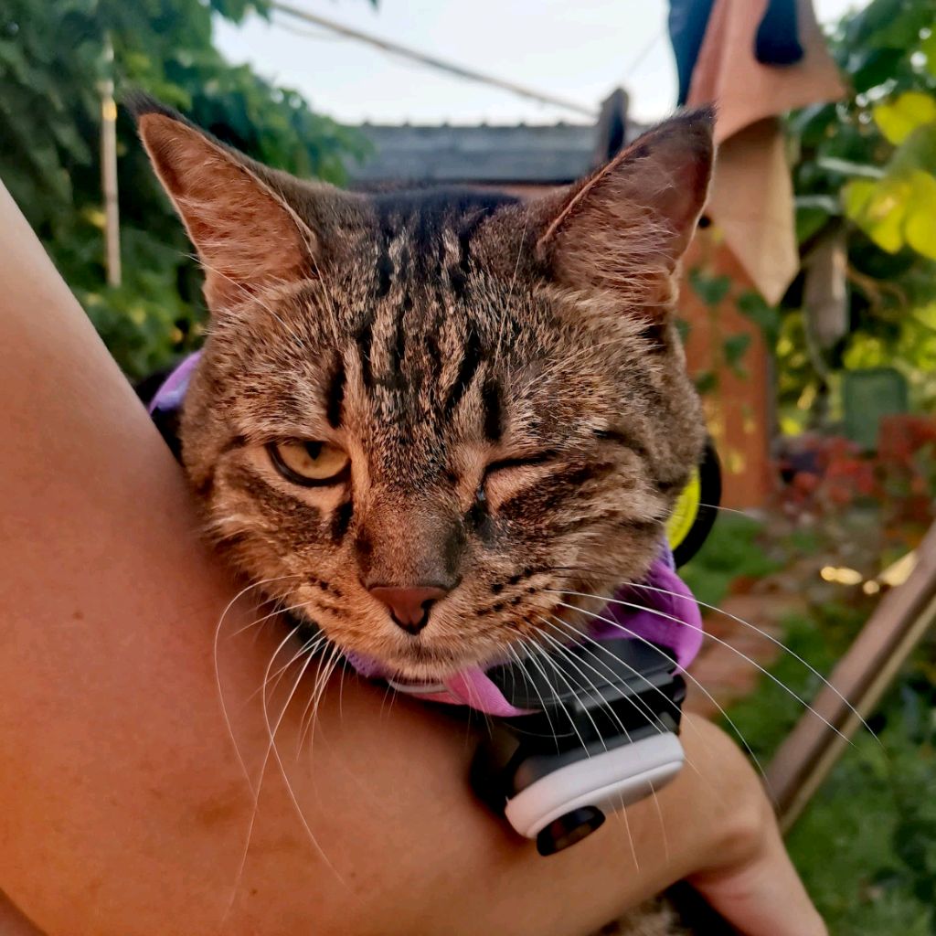 Иконка канала ДеревНяшка