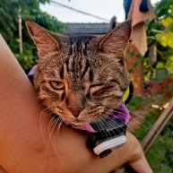 Иконка канала ДеревНяшка