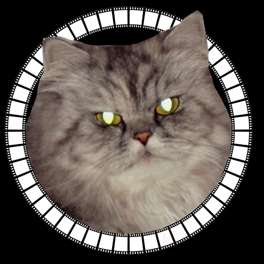 Иконка канала Сергей Савин (студия СерыйФильм)