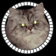 Иконка канала Сергей Савин (студия СерыйФильм)