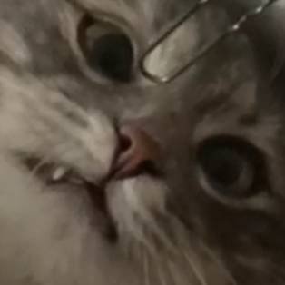 Иконка канала Tyrikpesnya