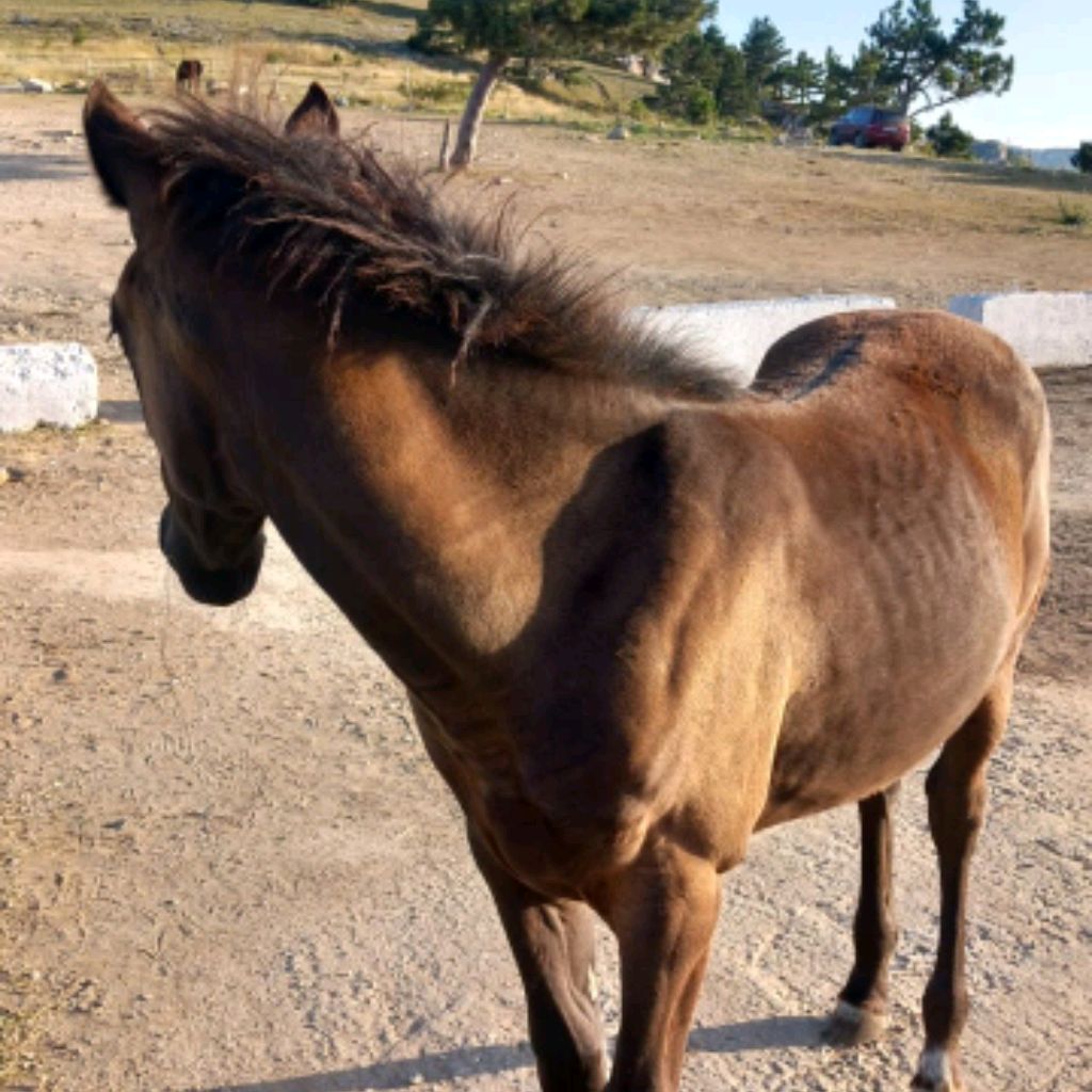 Иконка канала Dom_sed