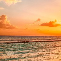 Иконка канала orro