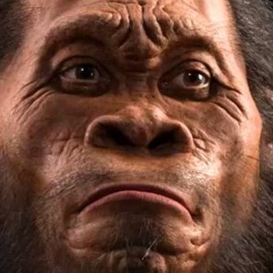 Иконка канала Недотрога