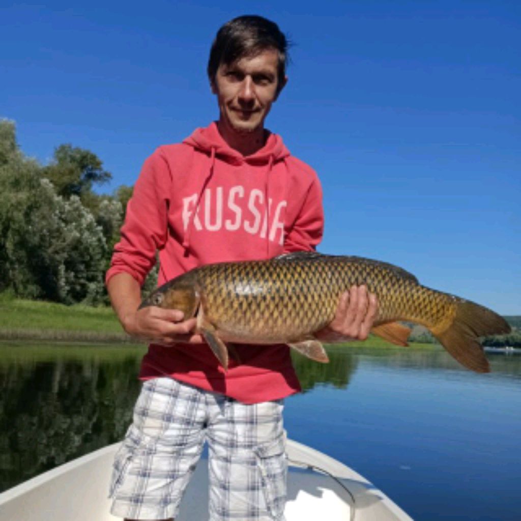 Иконка канала Диалоги о "покушать" и "порыбачить"