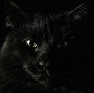 Иконка канала KOTDEN