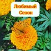 Иконка канала Любимый сезон