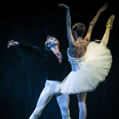 Иконка канала OM