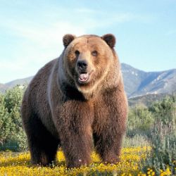 Иконка канала Евгений