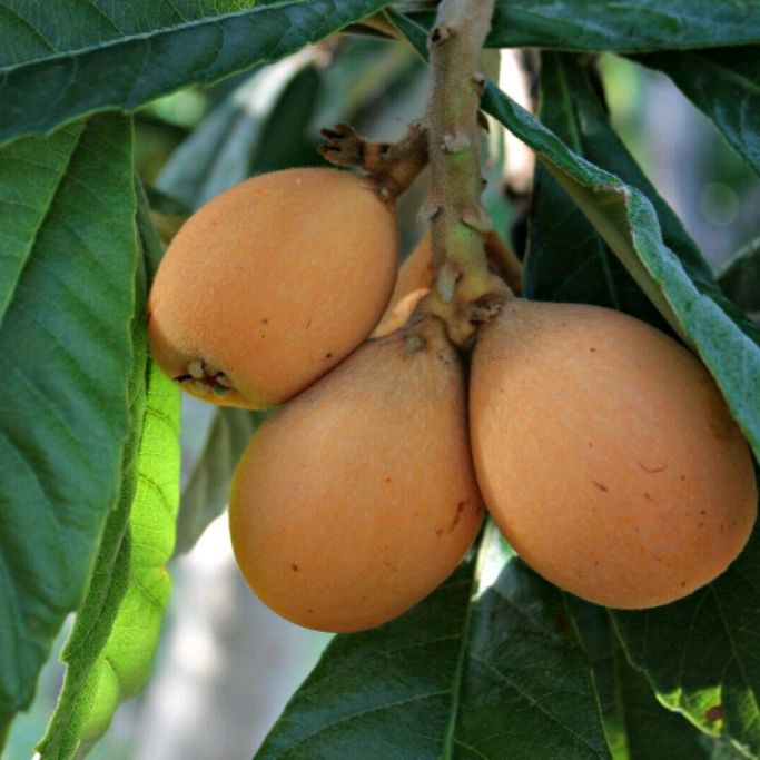 Иконка канала Миша_видео228