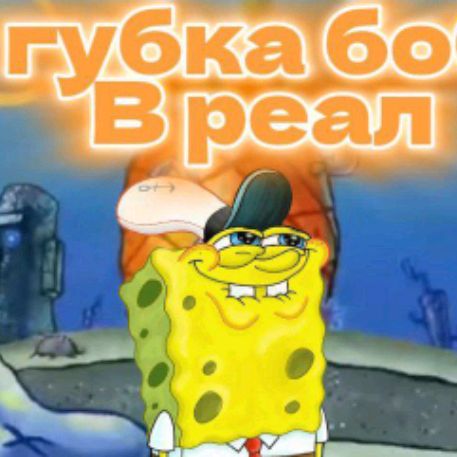 Иконка канала Губка боб В реальной жизни