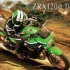Иконка канала ZRX1200DAEG