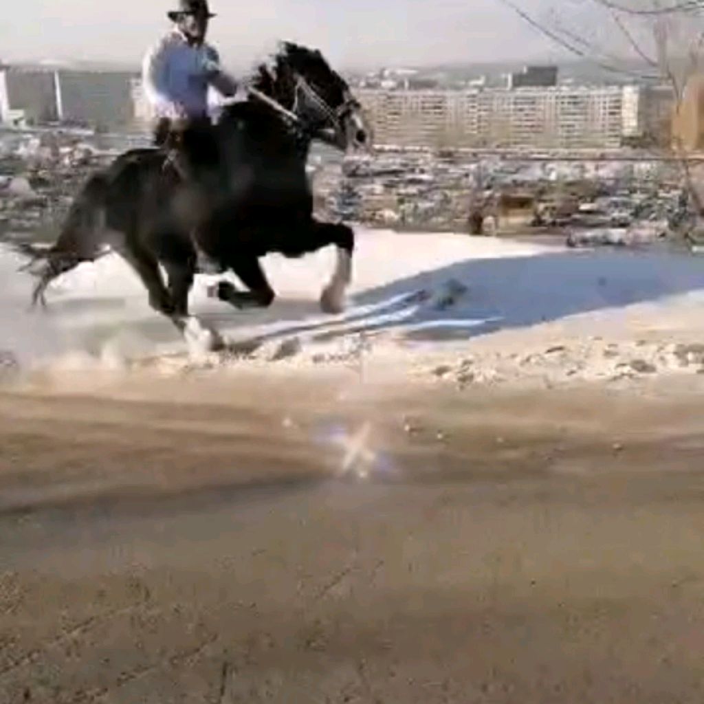 Иконка канала ХХХ