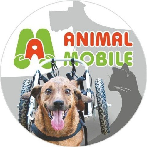 Иконка канала Animal Mobile