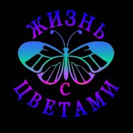 Иконка канала Жизнь с цветами