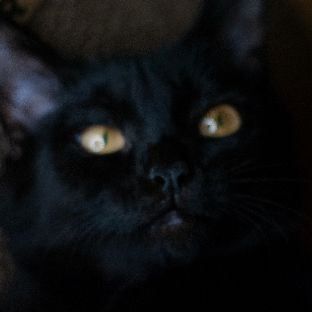 Иконка канала Vera Kelpy