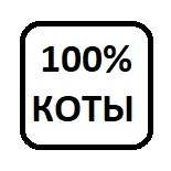 Иконка канала 100%Коты