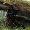 Иконка канала Кира (◡‿◡✿)💜😻🐈⬛