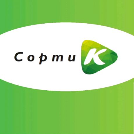 Иконка канала SortiC - СортиК / Сортировочные Контейнеры