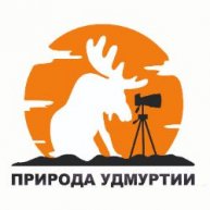 Иконка канала Природа Удмуртии