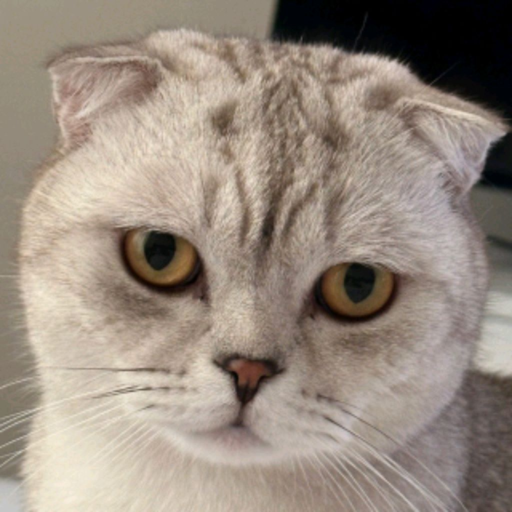 Иконка канала YouTube's Video