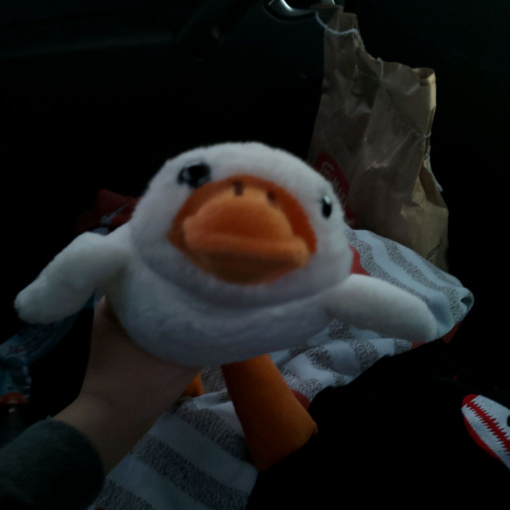 Иконка канала Zhoralive