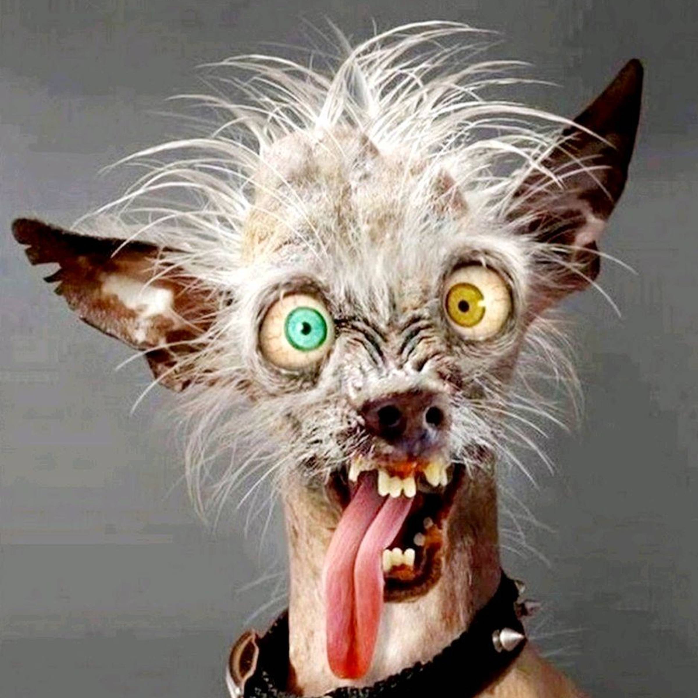 Иконка канала VR GAMES