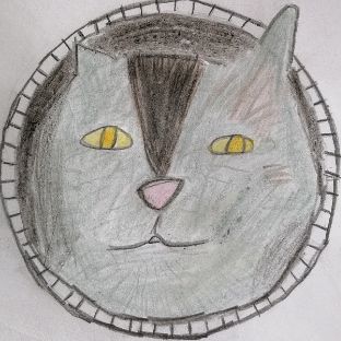 Иконка канала КиноКлуб "Кошка в Круге" г. Ярославль