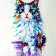 Иконка канала Beauty-cat