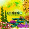 Иконка канала АлтайРай04 "Ёлочки-цветочки"