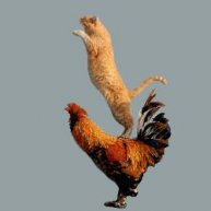 Иконка канала Кошляндия. Параллельные миры