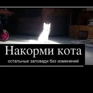 Иконка канала Сила в правде