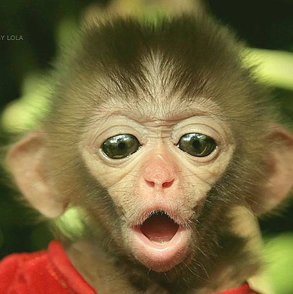 Иконка канала Канал Ассорти