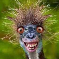 Иконка канала В Мире Людей И Животных.