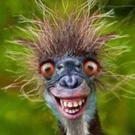 Иконка канала В Мире Людей И Животных.