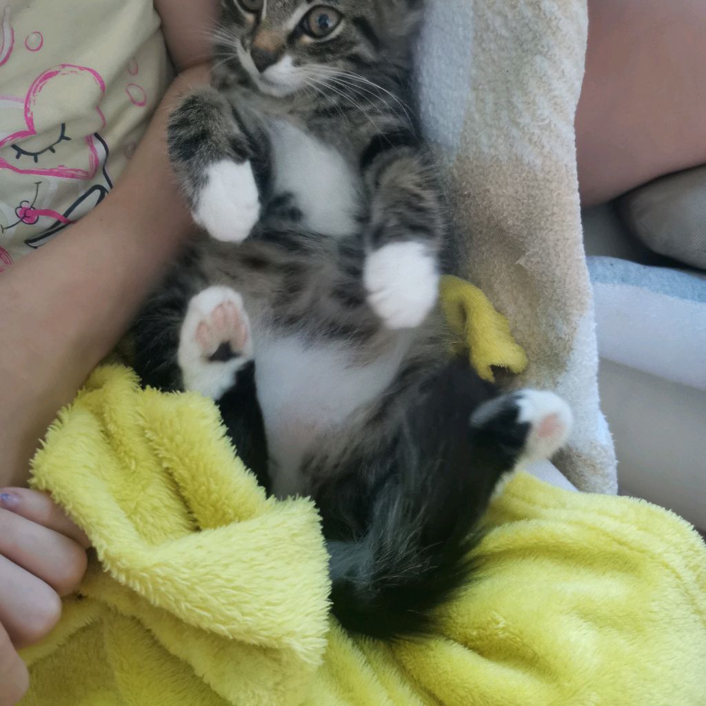 Иконка канала Милка ру