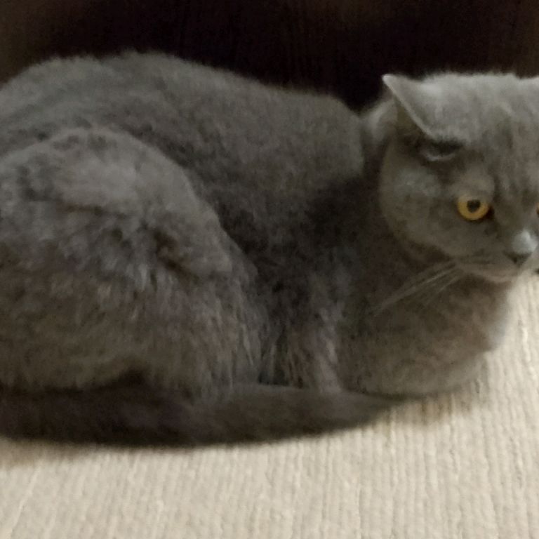 Иконка канала Крутой