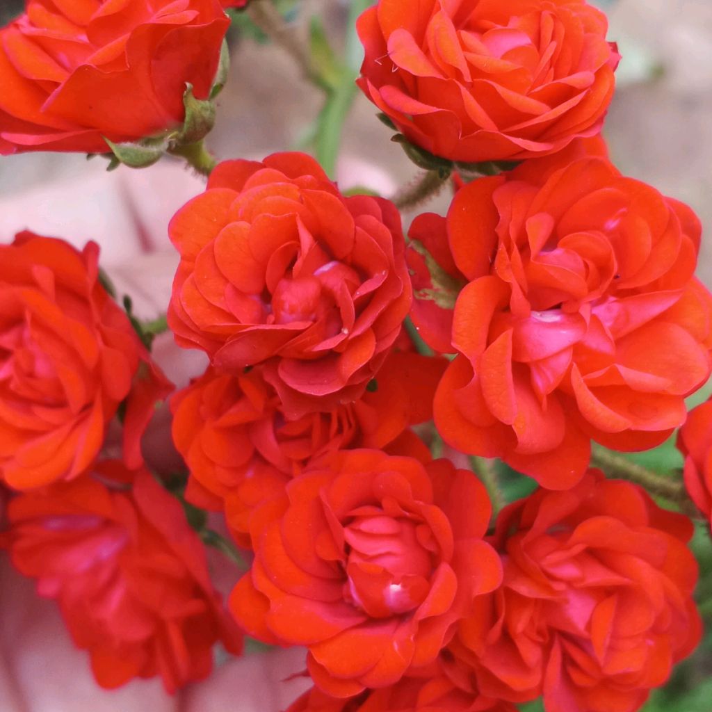 Иконка канала channel29320575