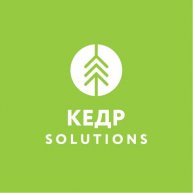 Иконка канала КЕДР Solutions: Платы и байты