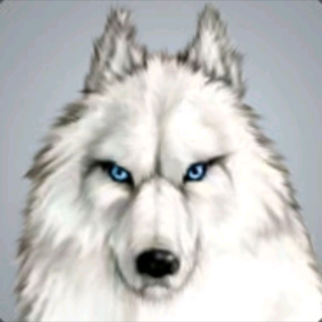 Иконка канала 𝕬𝖓𝕸𝖆𝖗-𝕿𝖁