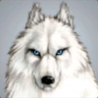 Иконка канала 𝕬𝖓𝕸𝖆𝖗-𝕿𝖁